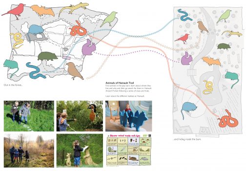 Hainault Ancient Forest | ZMMA
